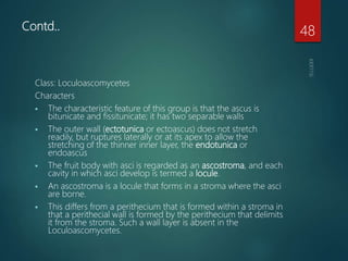 Classification of fungi | PPTX