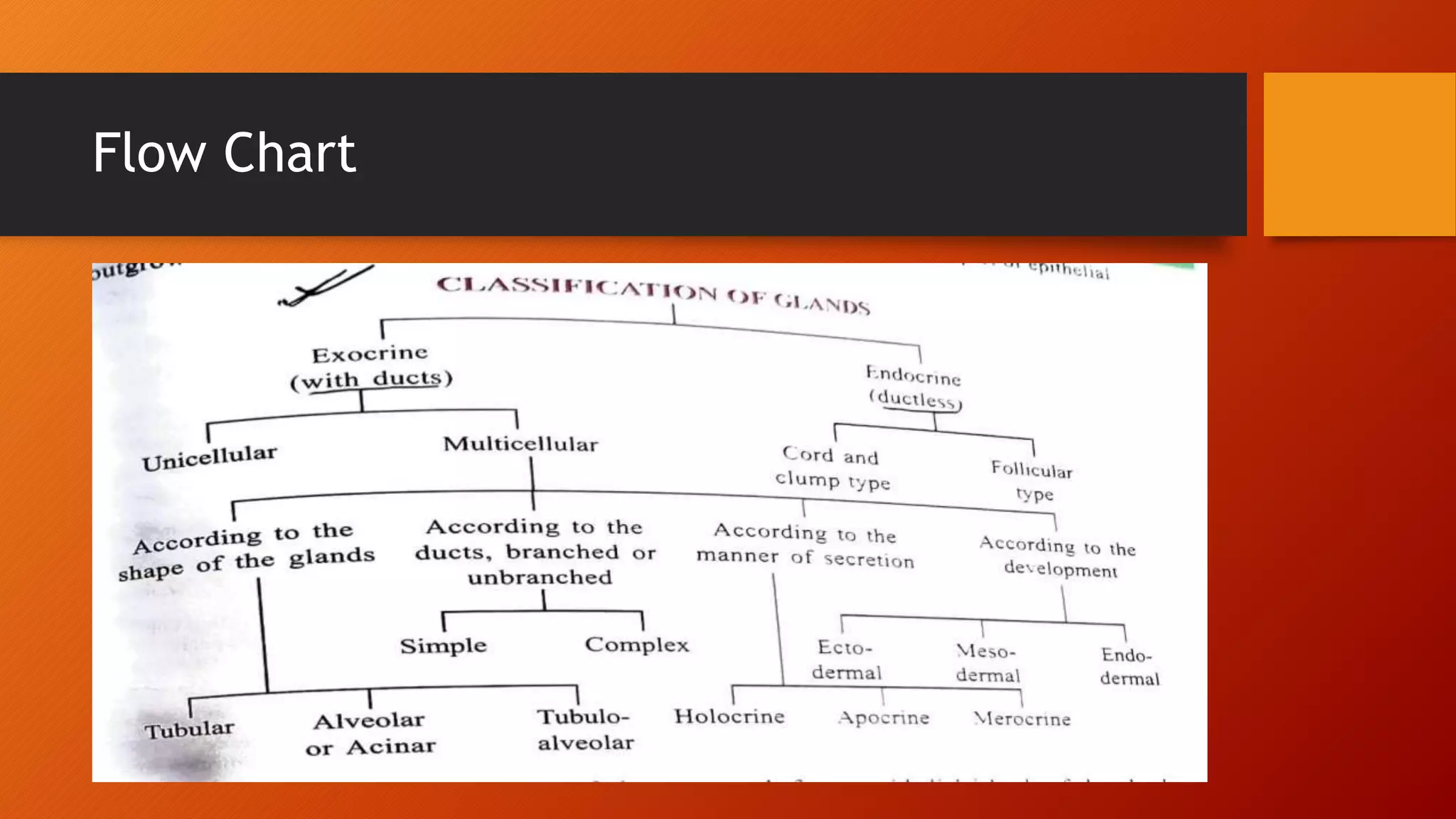Classification of gland.pptx