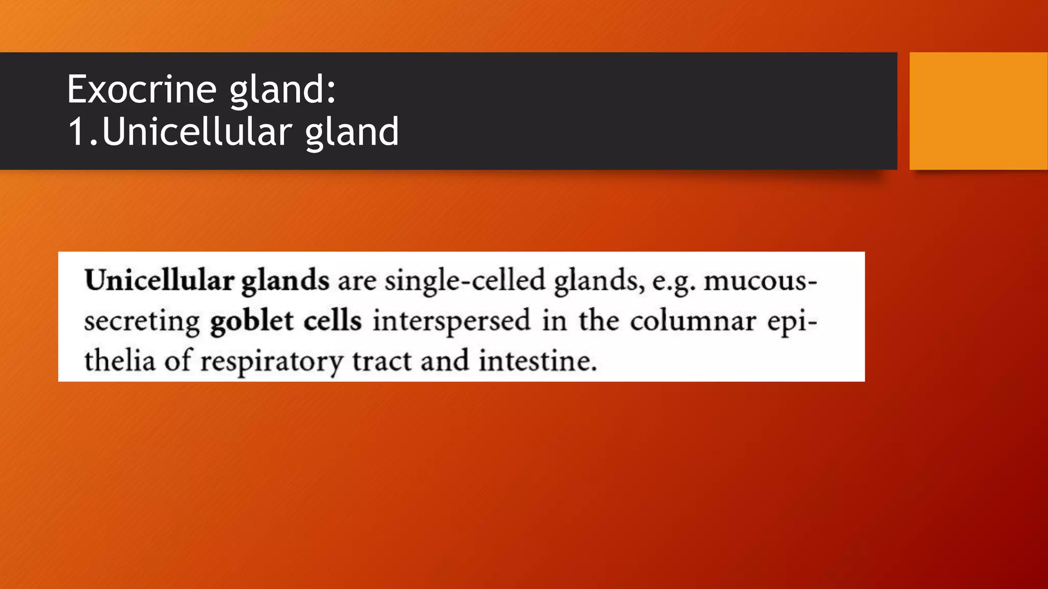 Classification of gland.pptx