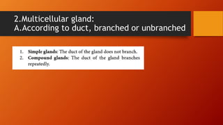 Classification of gland.pptx