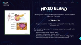 Classification of glands presented by Vadamodula Bhanu | PDF