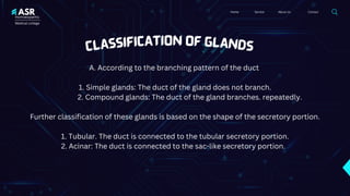 Classification of glands presented by Vadamodula Bhanu | PDF