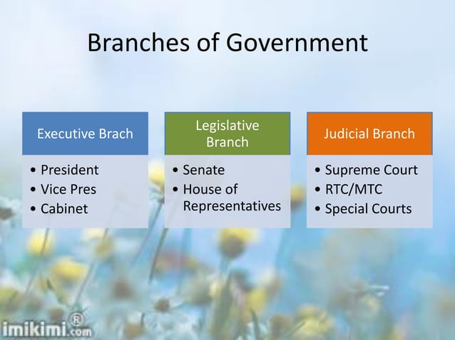 Classification of Government | PDF