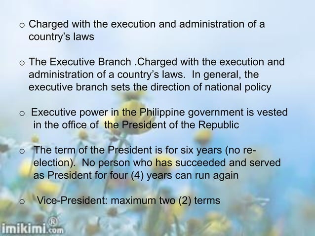 Classification of Government | PDF