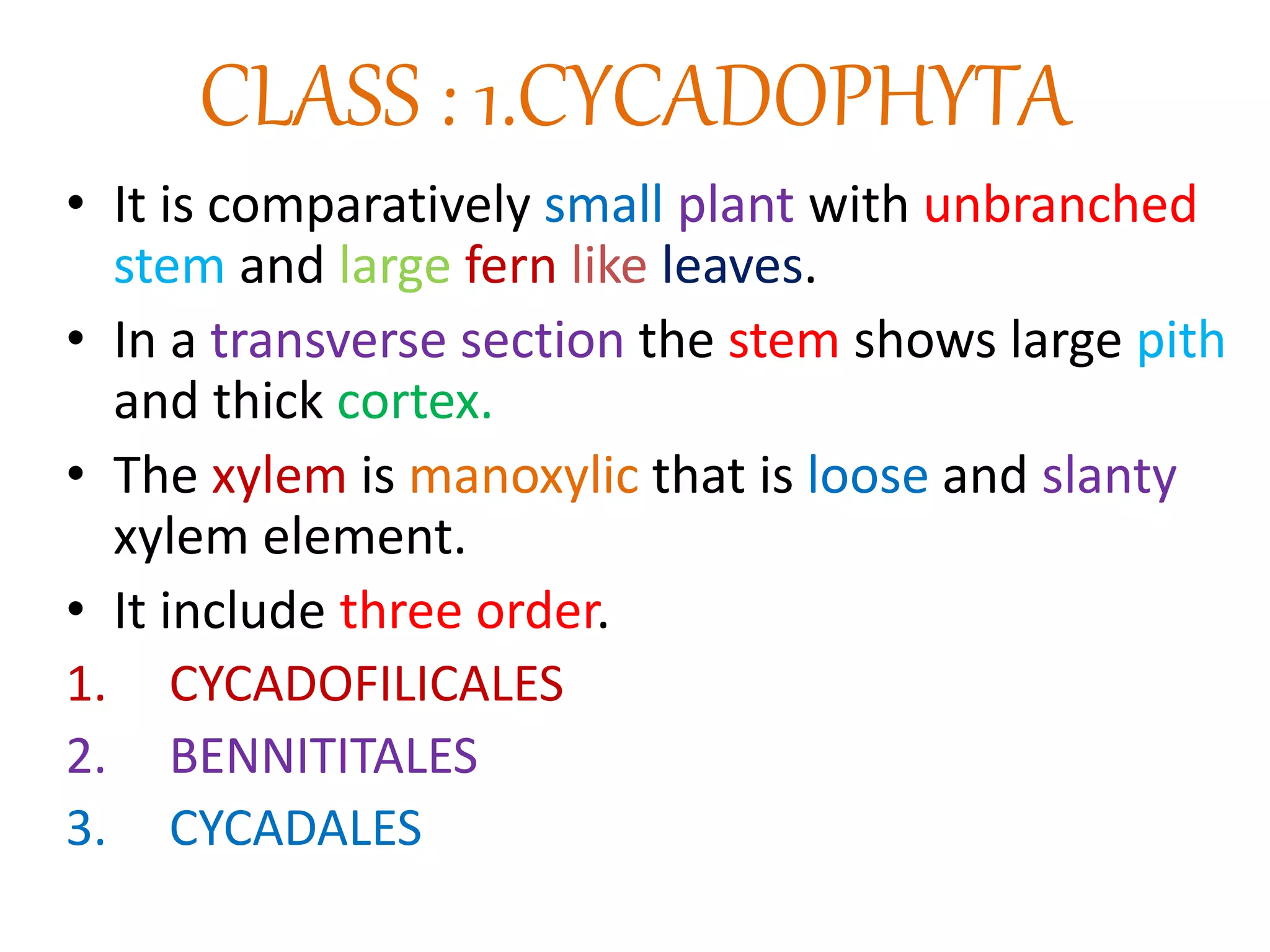 Classification of gymnosperm by chamberlain | PPTX