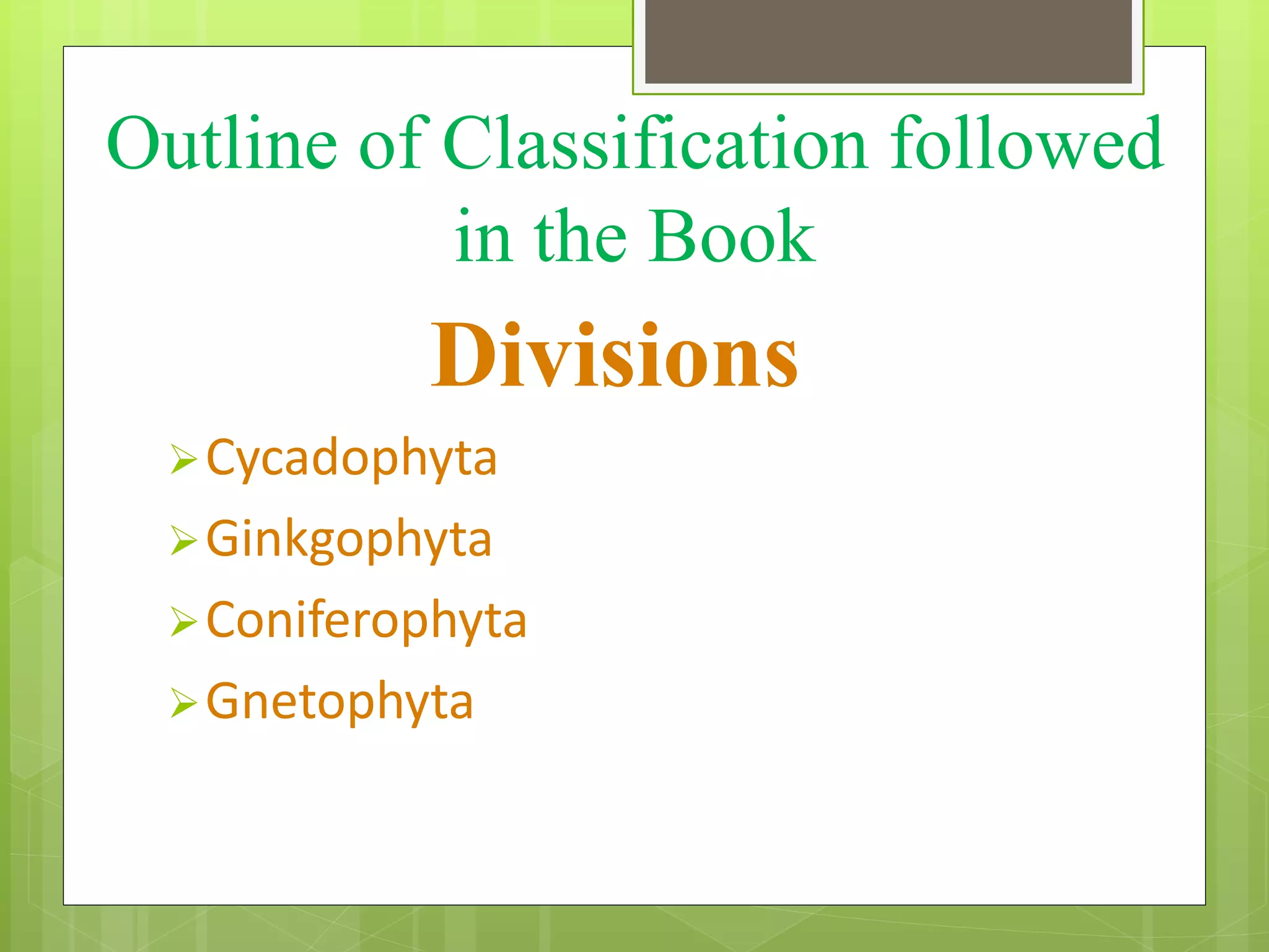 Classification of gymnosperms | PPTX