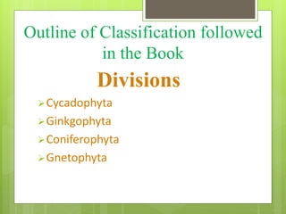 Classification of gymnosperms | PPTX