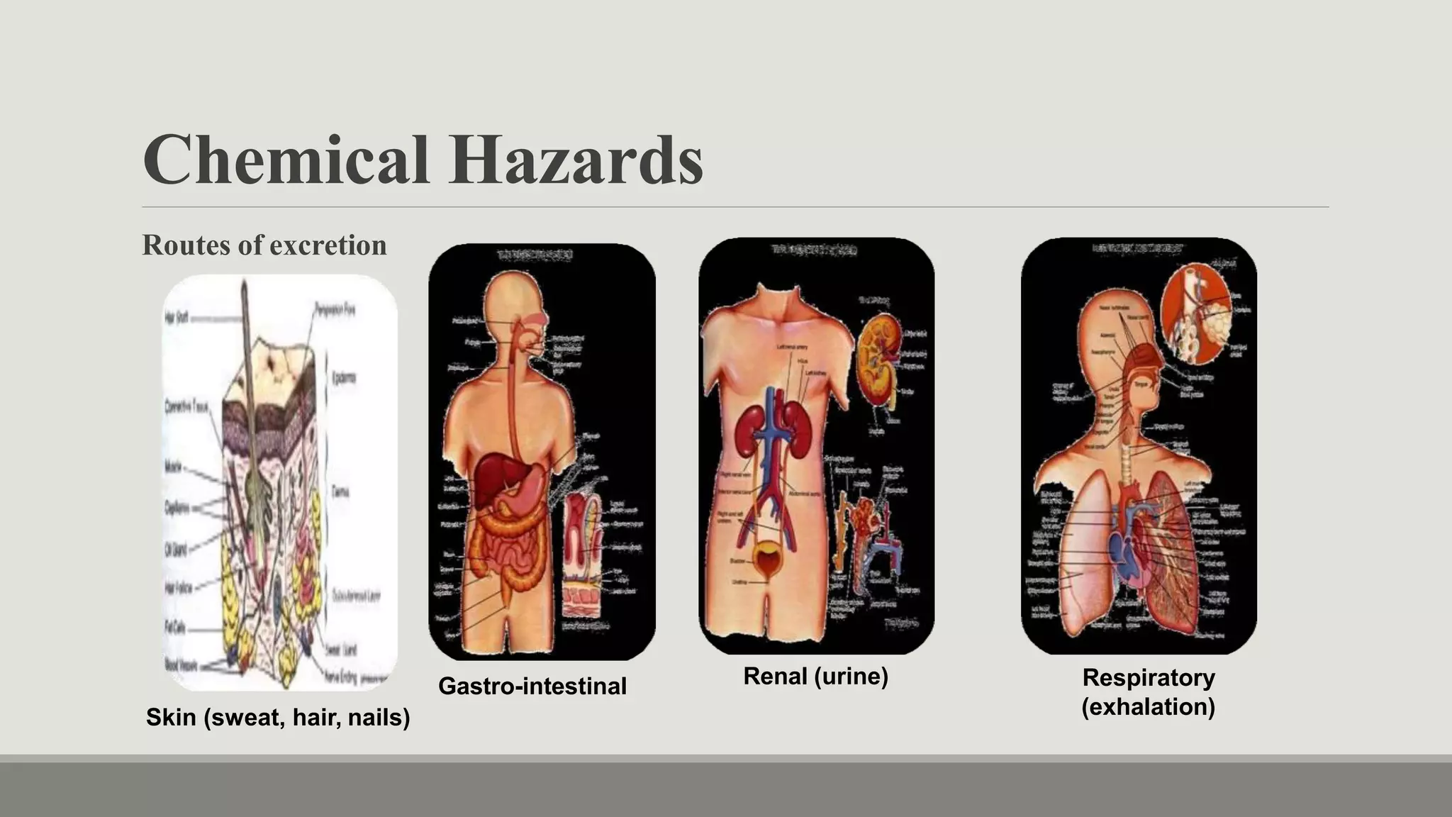 Classification of health hazards | PPTX