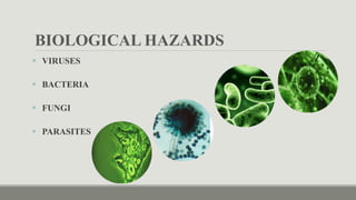 Classification of health hazards | PPTX