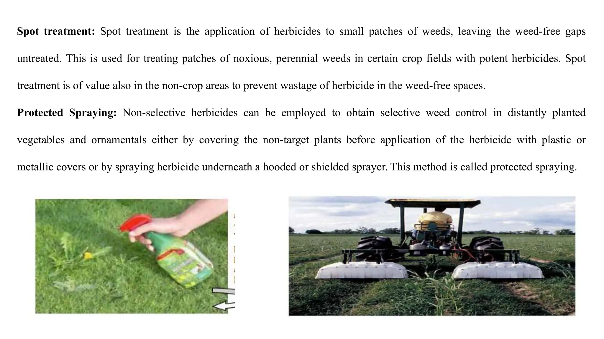 Classification of herbicides.pptx