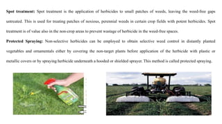 Classification of herbicides.pptx