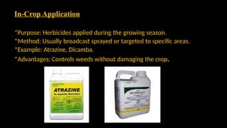 Classification of Herbicides - Based on application methods ppt.pptx