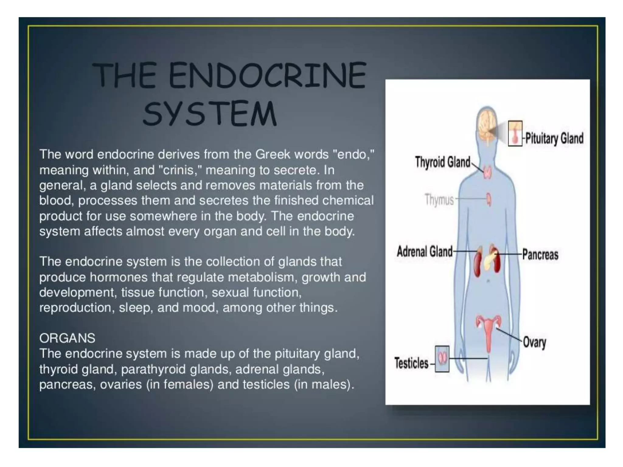 ENDOCRINE SYSTEM (Classification of hormones -4 Types) | PPTX