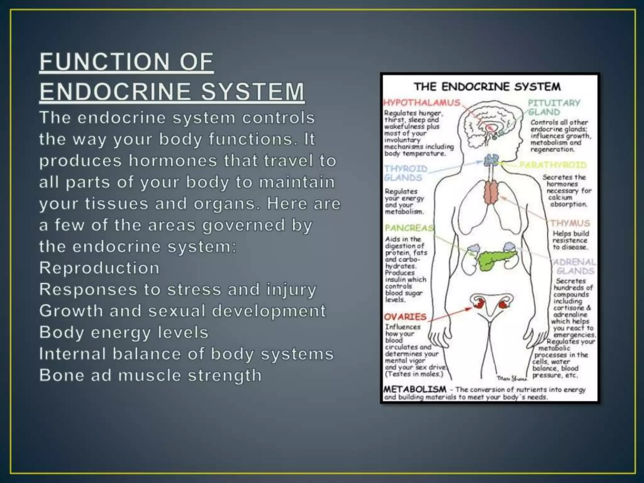 ENDOCRINE SYSTEM (Classification of hormones -4 Types) | PPTX