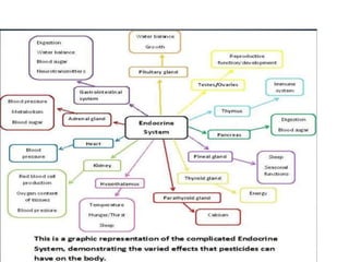 ENDOCRINE SYSTEM (Classification of hormones -4 Types) | PPTX