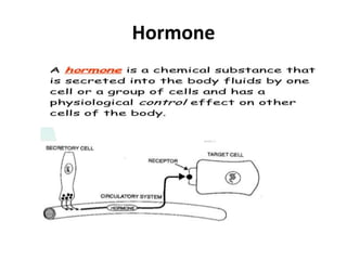 ENDOCRINE SYSTEM (Classification of hormones -4 Types) | PPTX