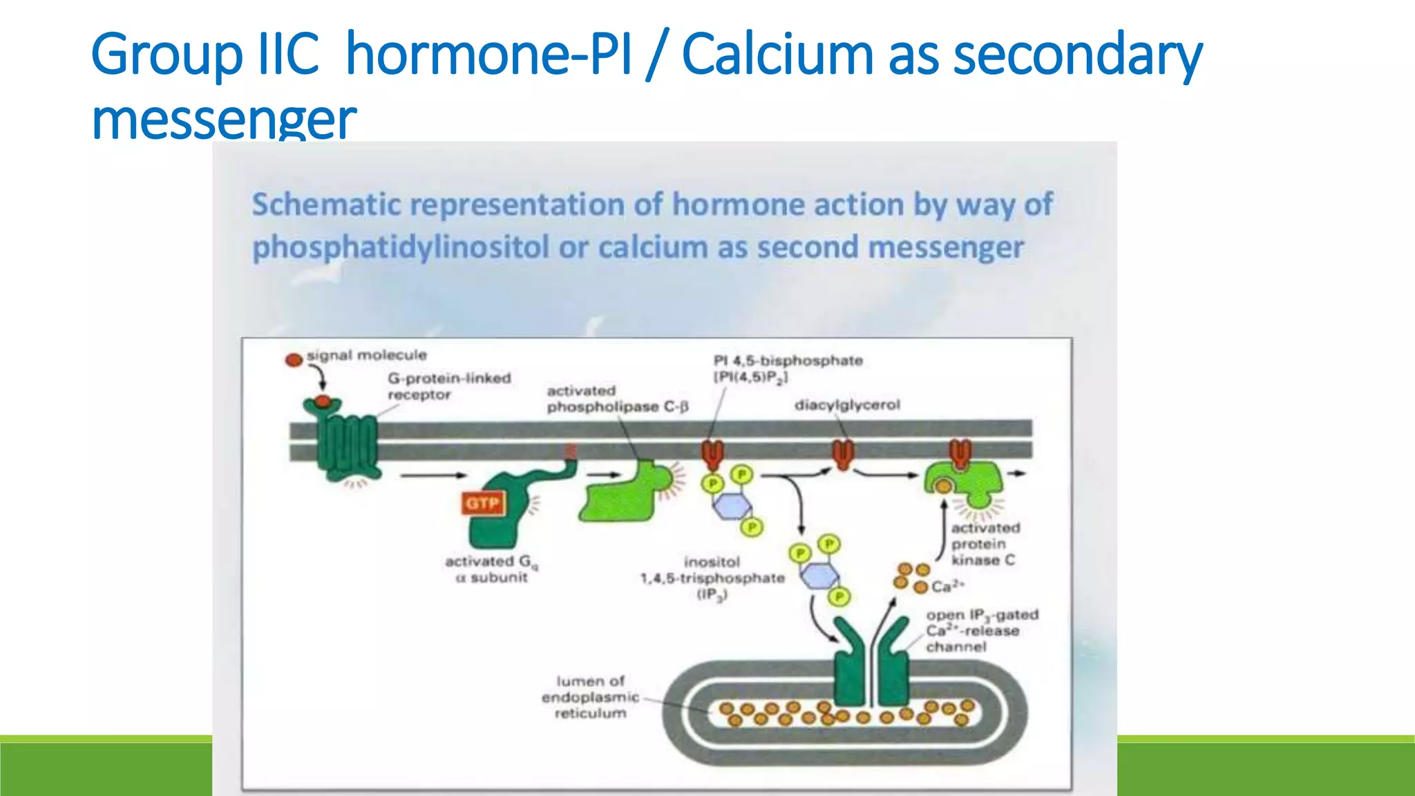 classification of hormones.pptx