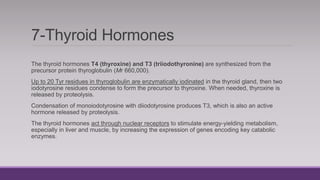 Classification of Hormones.pptx