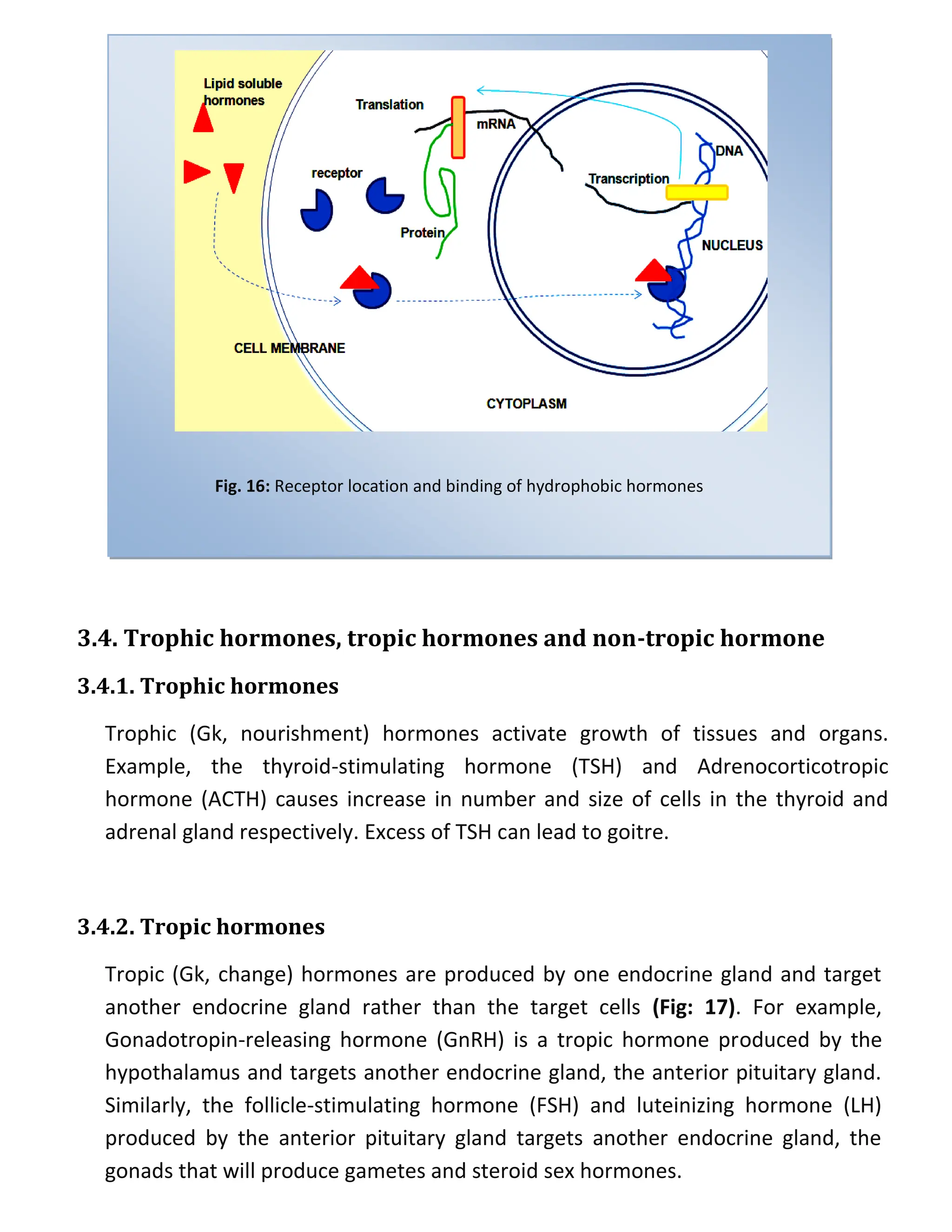CLASSIFICATION OF HORMONES ANIMAL PHYSIO -HARSHAL.pdf