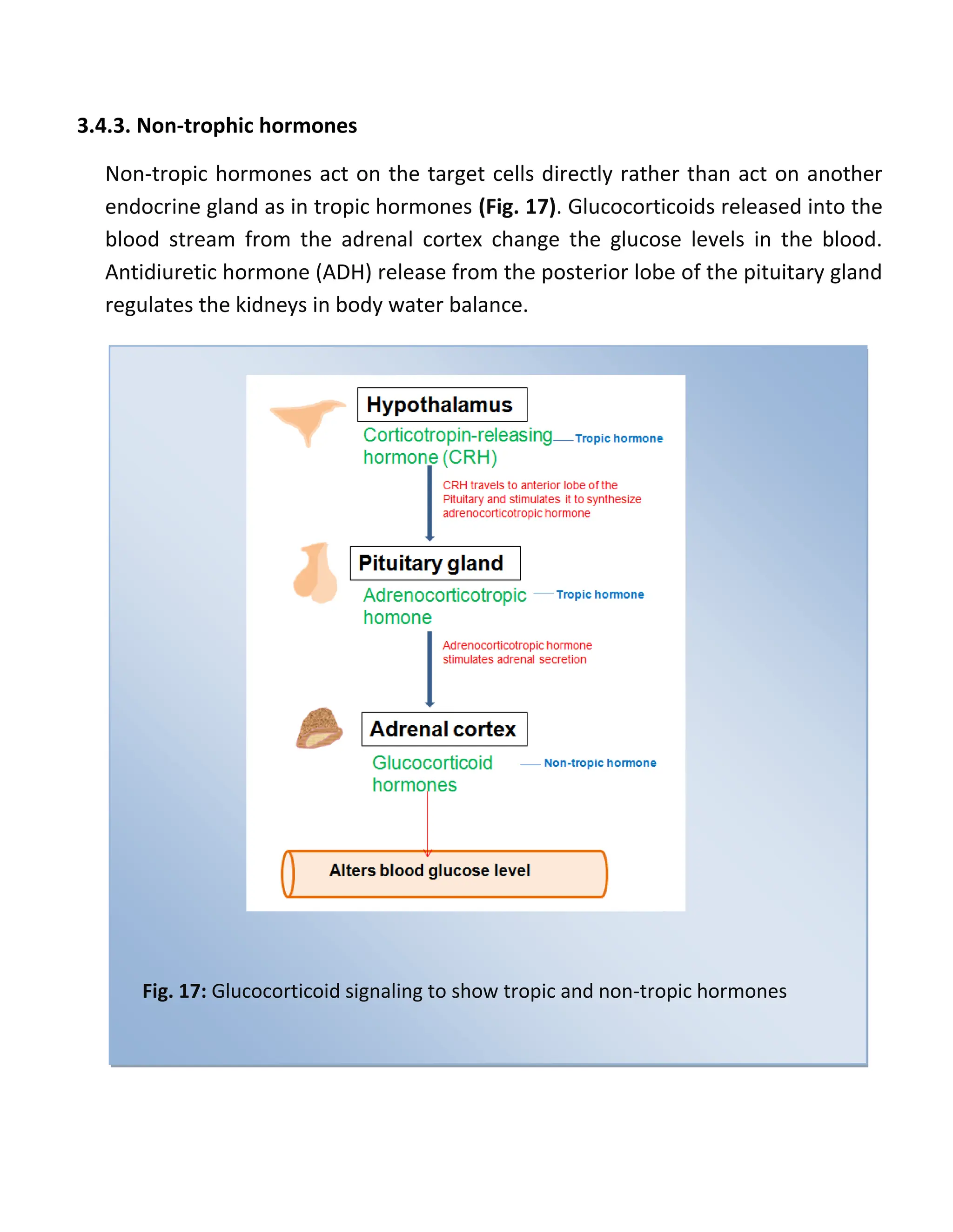 CLASSIFICATION OF HORMONES ANIMAL PHYSIO -HARSHAL.pdf