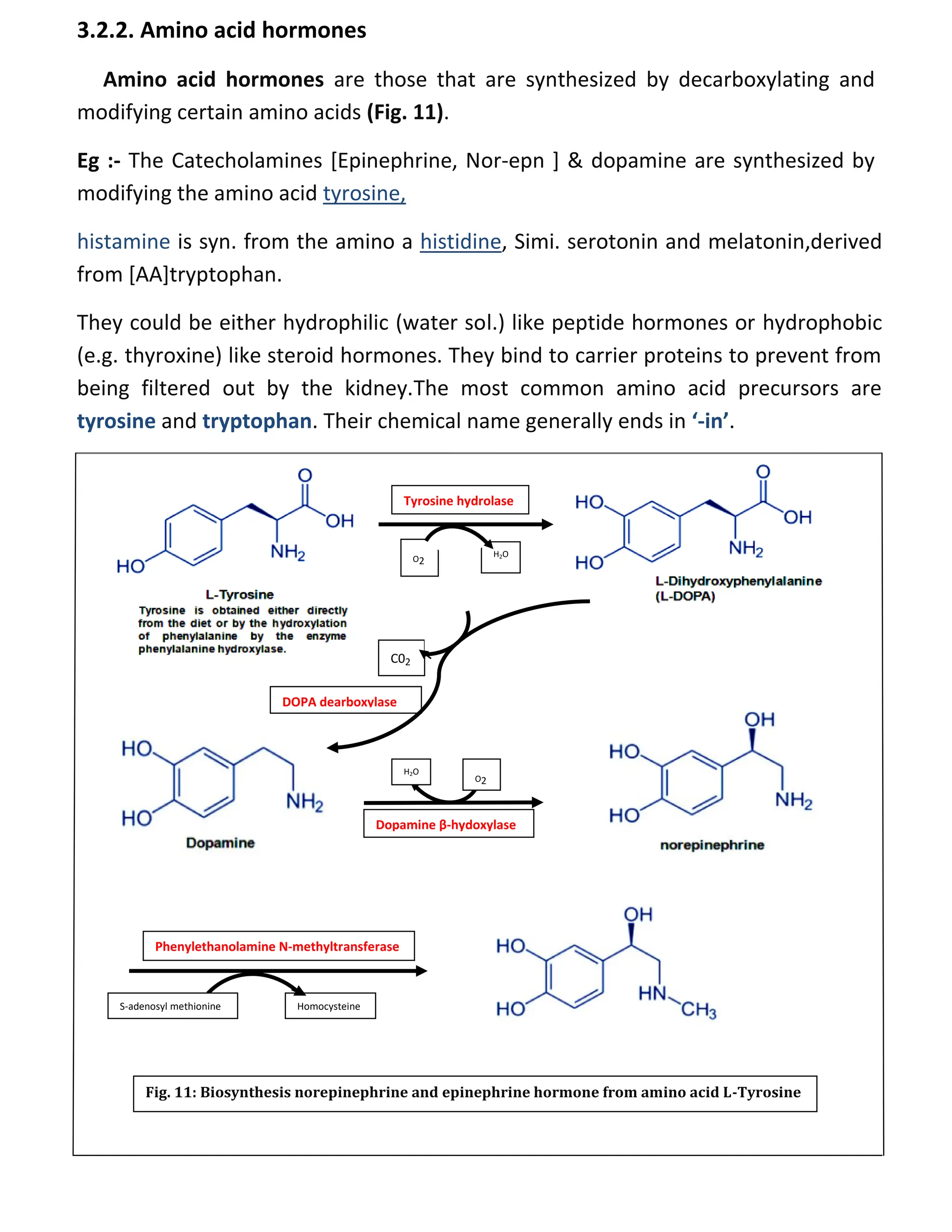 CLASSIFICATION OF HORMONES ANIMAL PHYSIO -HARSHAL.pdf