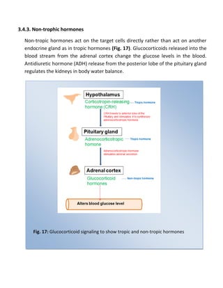 CLASSIFICATION OF HORMONES ANIMAL PHYSIO -HARSHAL.pdf
