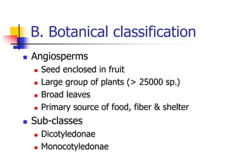 Classification of Horticultural Crops | PPT