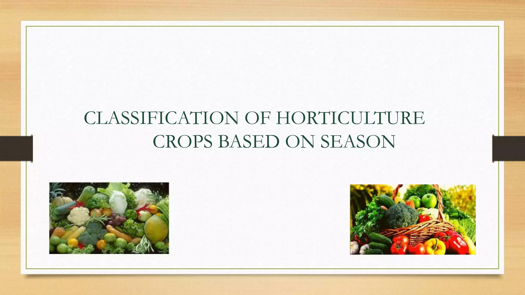 CLASSIFICATION OF HORTICULTURE PLANT BY SEASON.pptx
