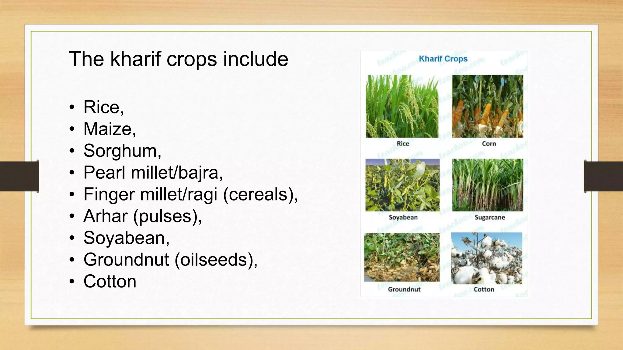 CLASSIFICATION OF HORTICULTURE PLANT BY SEASON.pptx