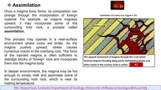 Classification of igneous rocks | PDF
