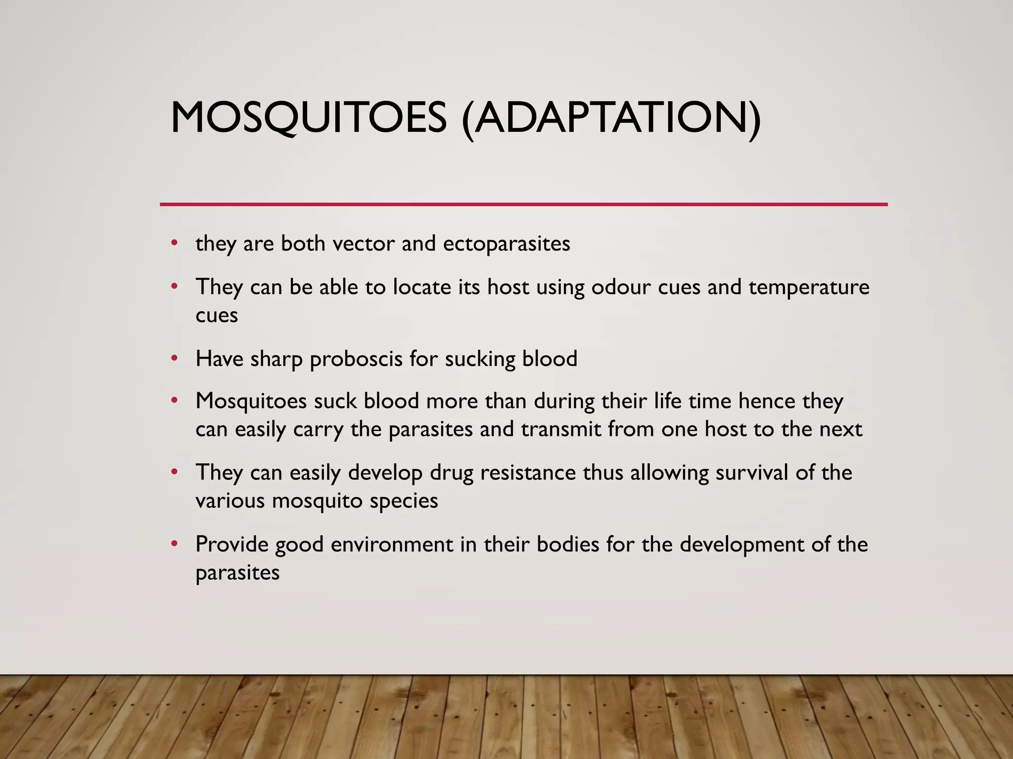 classification of important arthropods 2.pdf