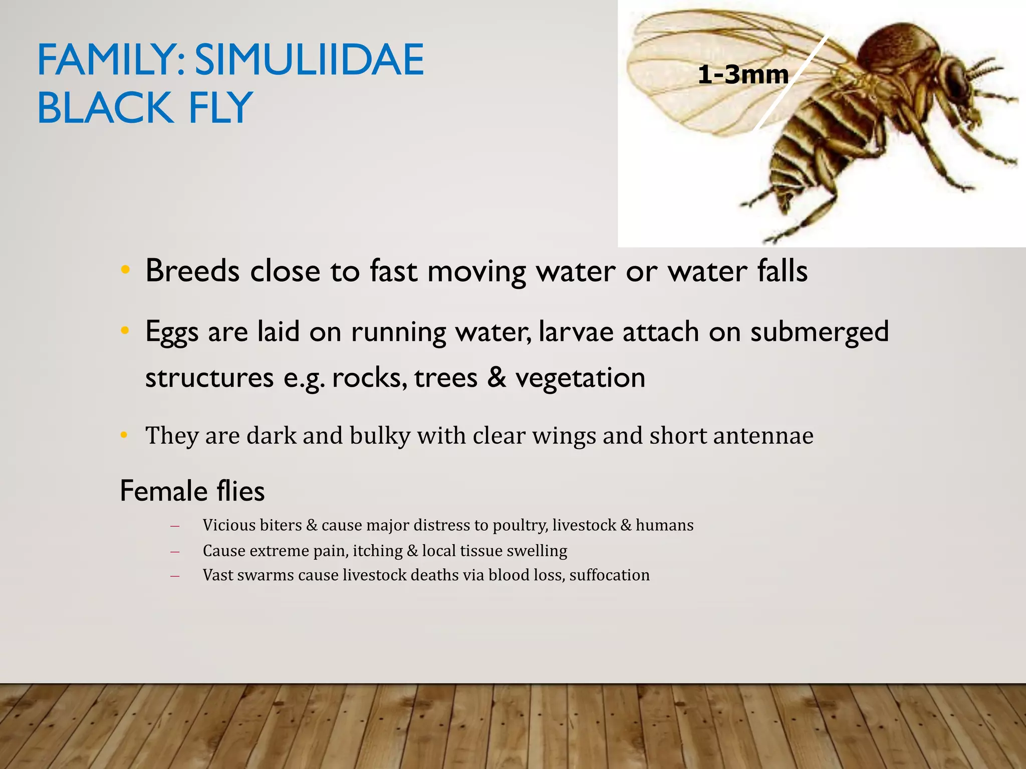 classification of important arthropods 2.pdf
