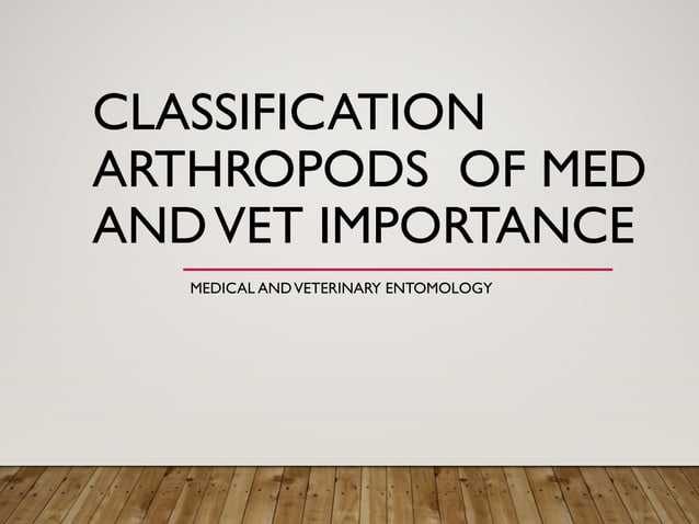 Classification Of Important Arthropods 2 Pdf
