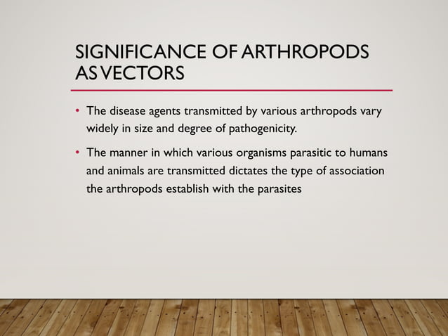 classification of important arthropods 2.pdf