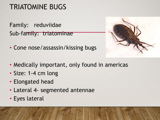 classification of important arthropods 2.pdf