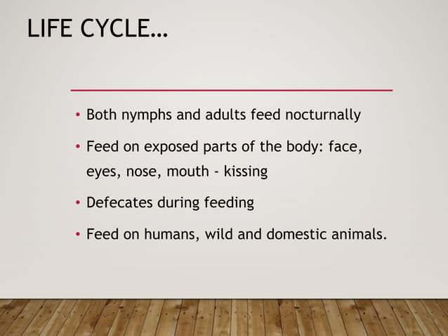 Classification Of Important Arthropods 2 Pdf