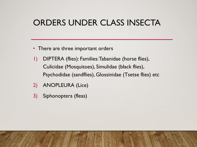 classification of important arthropods 2.pdf