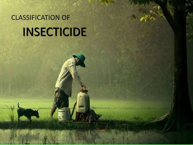 Classification of Insecticide ppppot.pptx | Gardening | Home & Garden