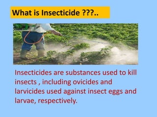Classification of Insecticide ppppot.pptx | Gardening | Home & Garden