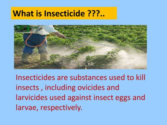 Classification of Insecticide ppppot.pptx | Gardening | Home & Garden