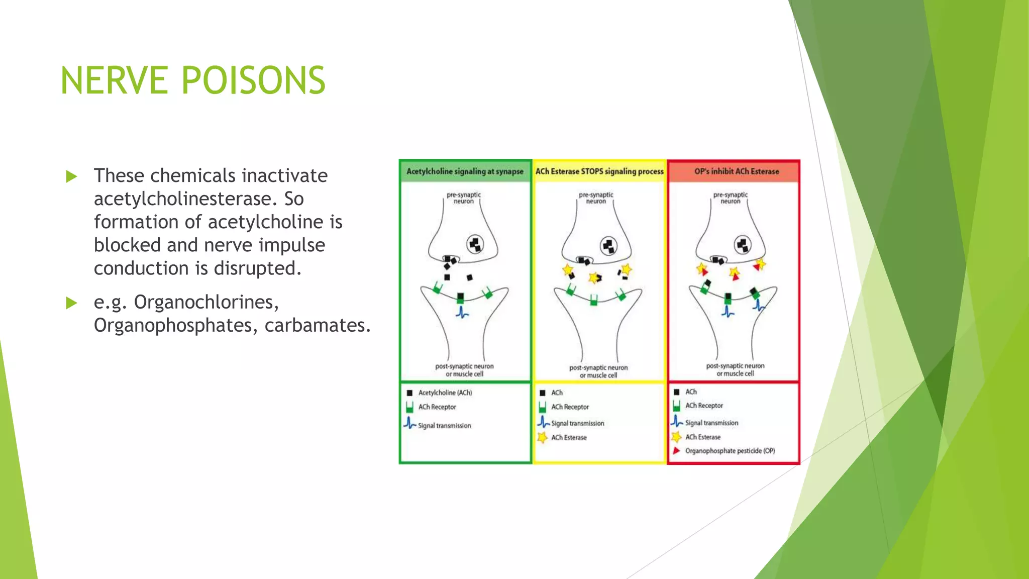 Classification of insecticides | PPTX