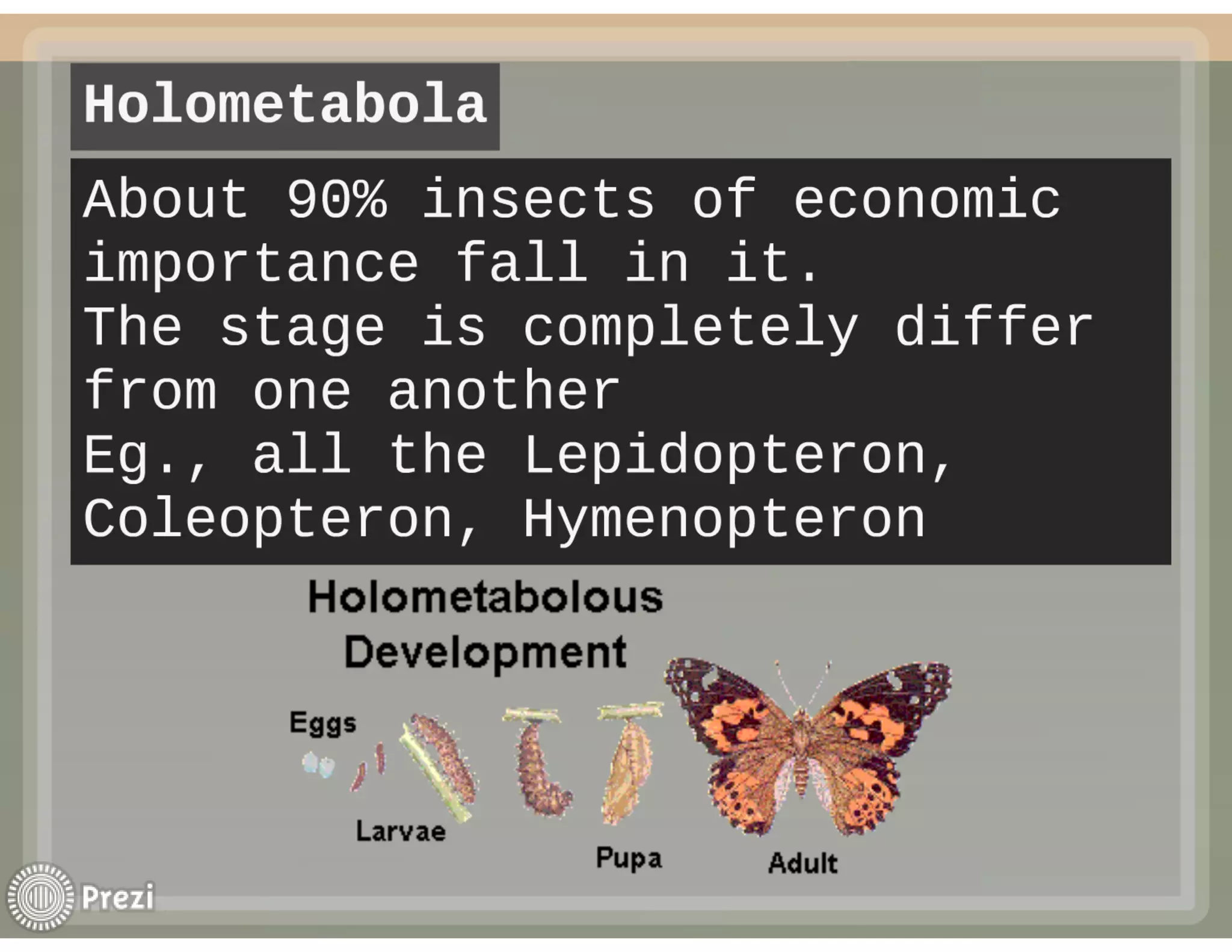 Classification of insect pest | PDF