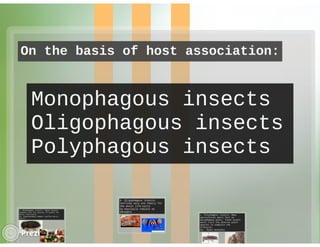 Classification of insect pest | PDF