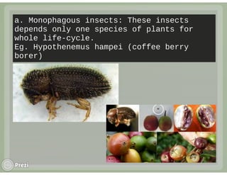 Classification of insect pest | PDF