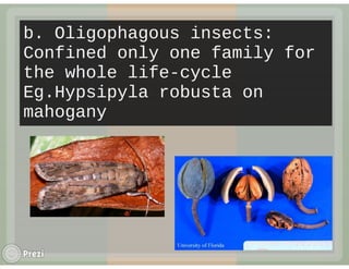 Classification of insect pest | PDF