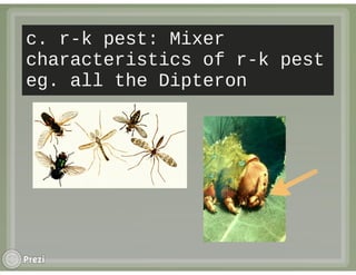 Classification of insect pest | PDF