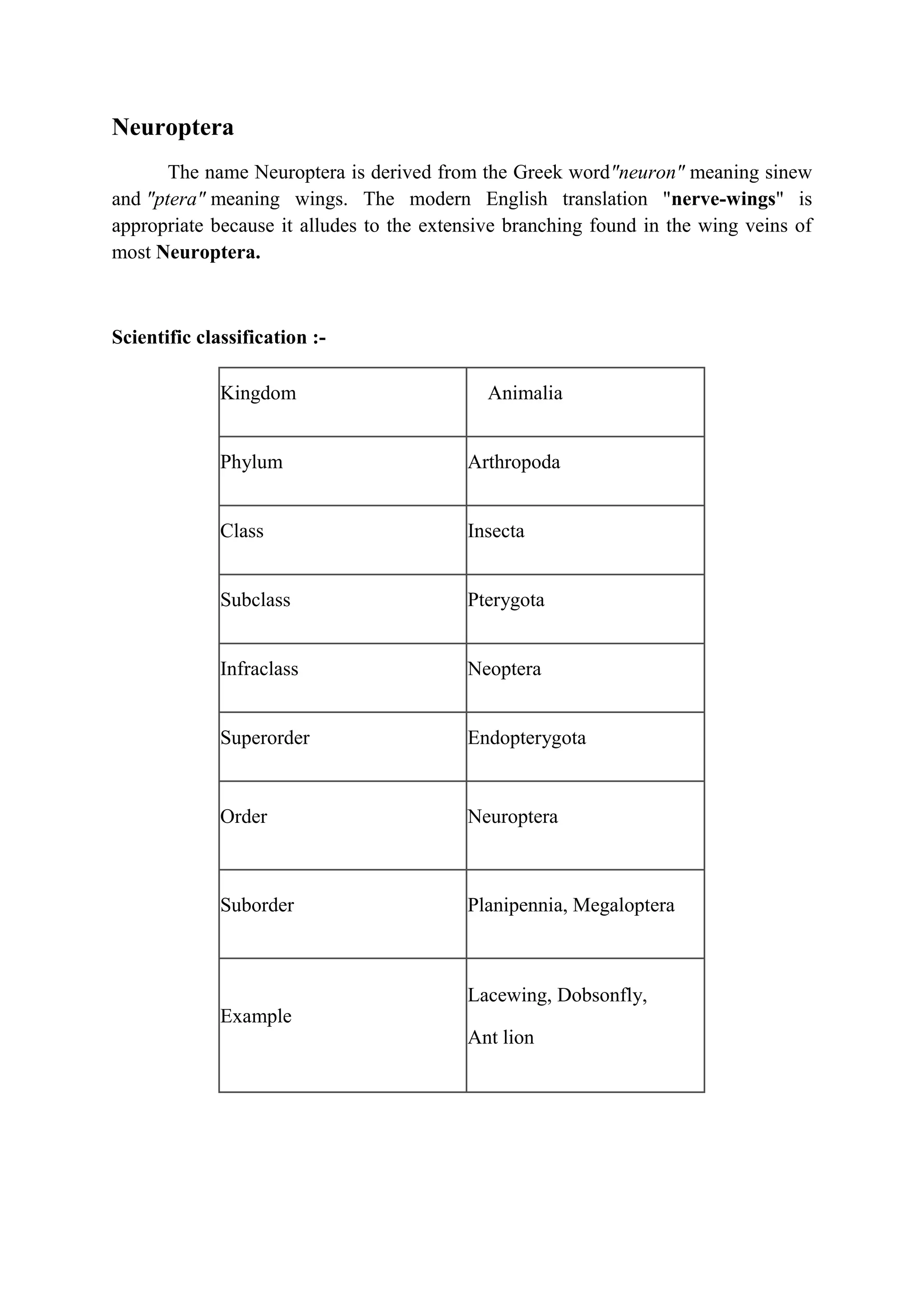 Classification of insects | DOCX