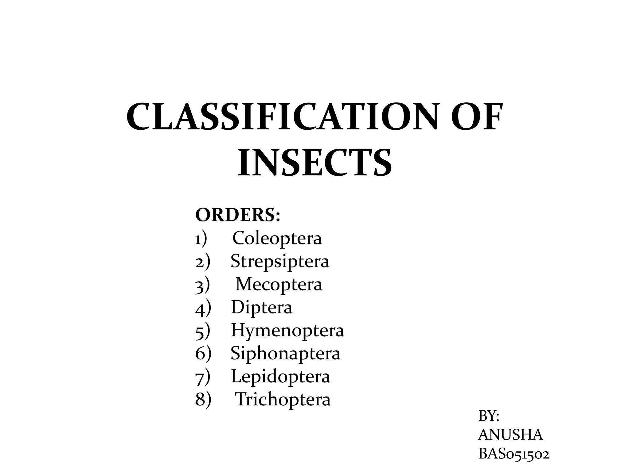 Classification of insects | PPTX
