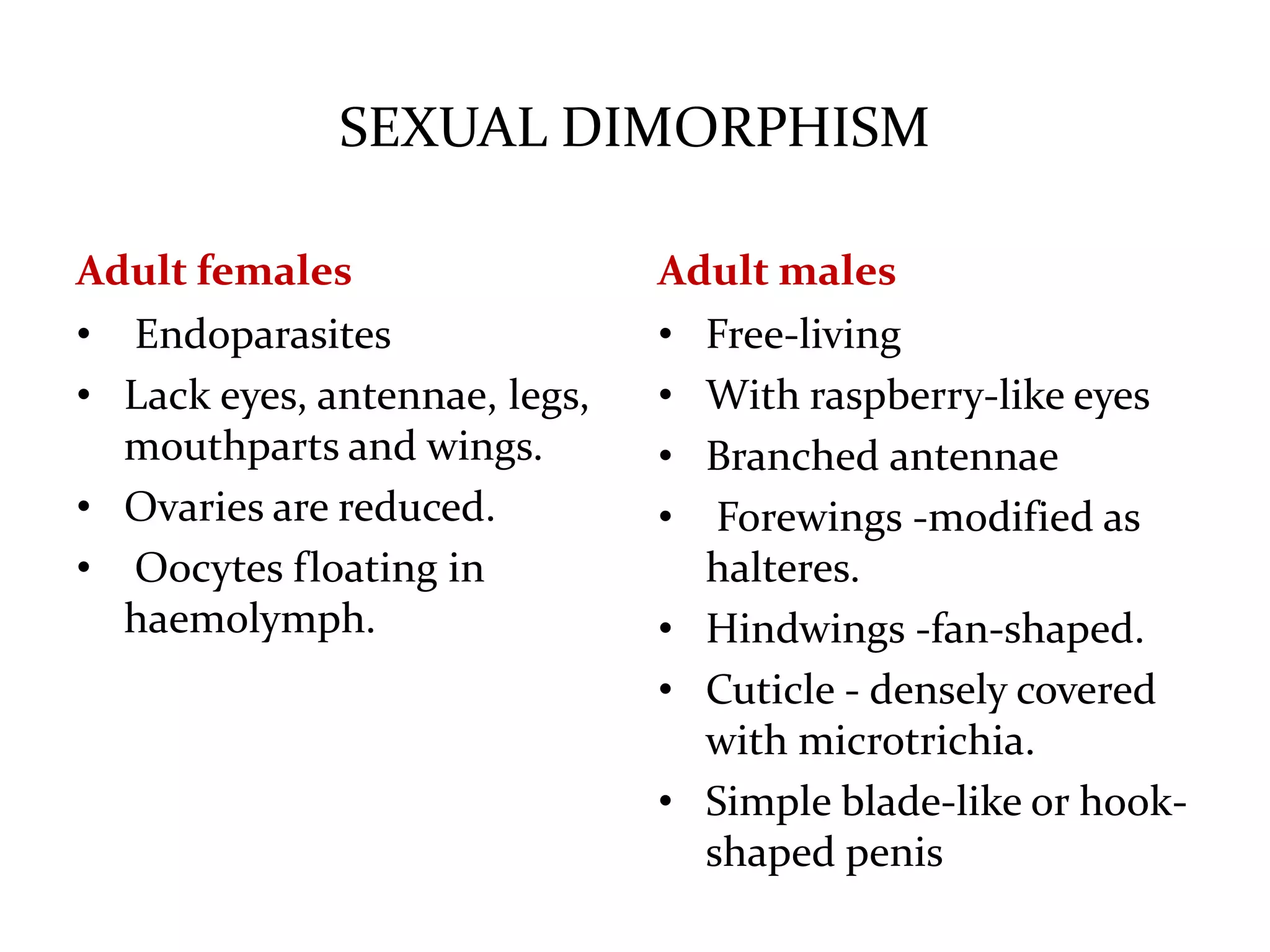 Classification of insects | PPTX