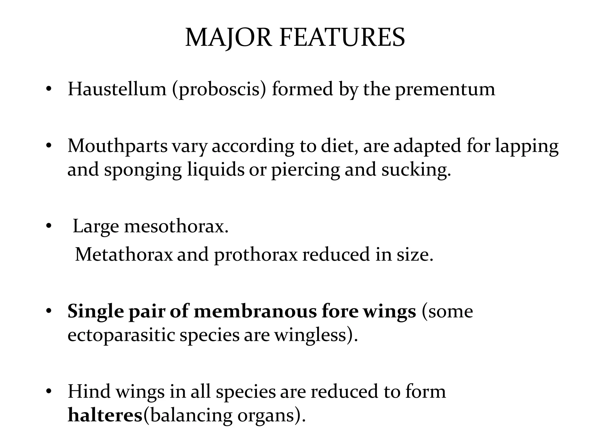 Classification of insects | PPTX